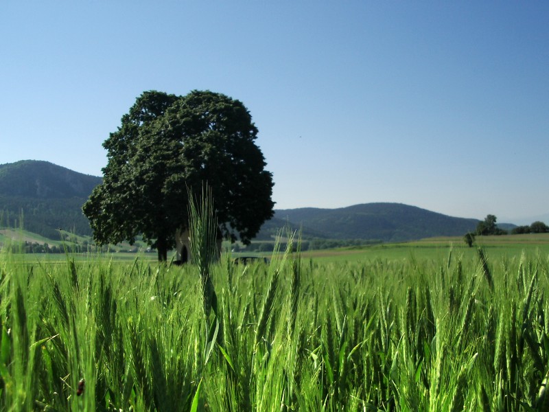 dreamers-paradise: dreamers portrait galerie