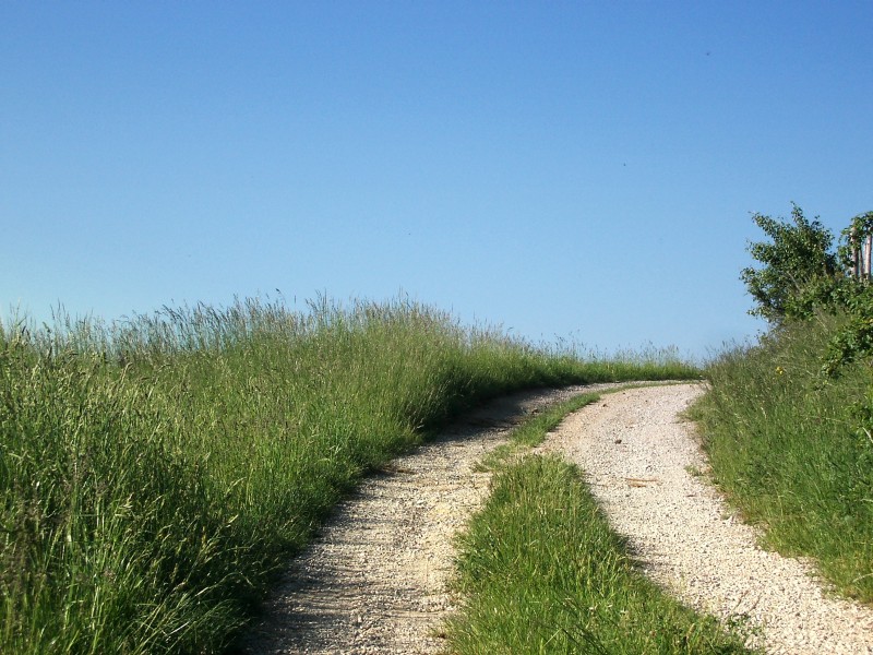 dreamers-paradise: dreamers portrait galerie