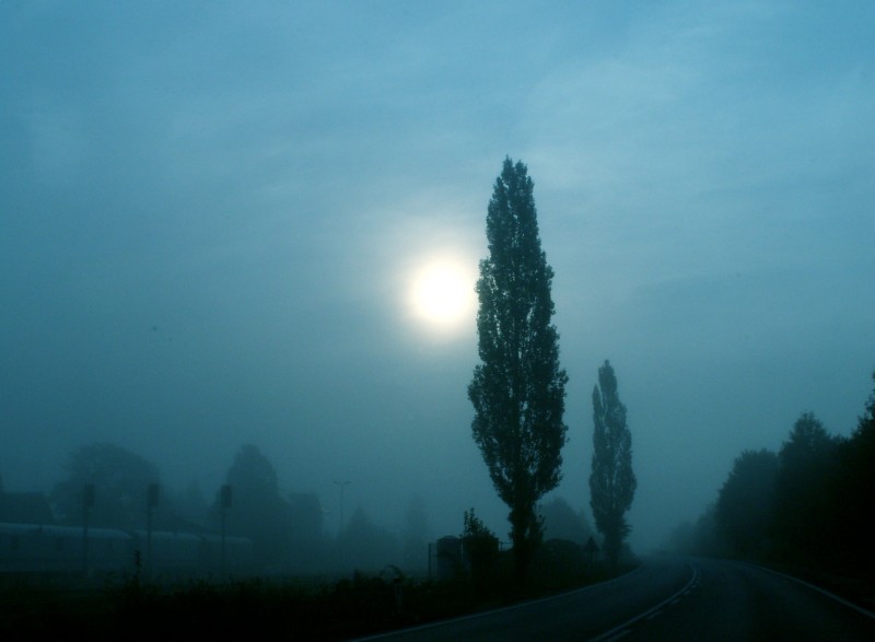 dreamers-paradise: dreamers portrait galerie