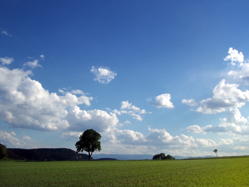 dreamers-paradise: dreamers portrait galerie