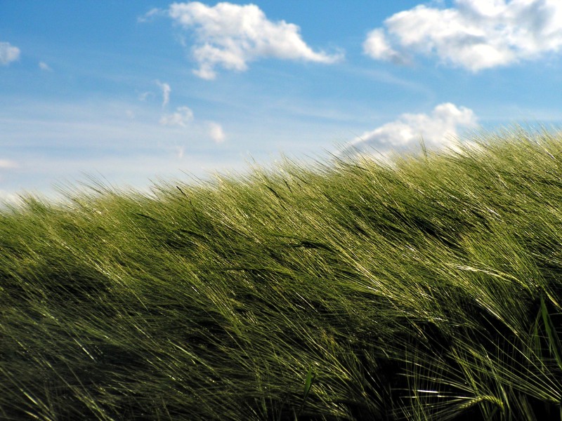 dreamers-paradise: dreamers portrait galerie